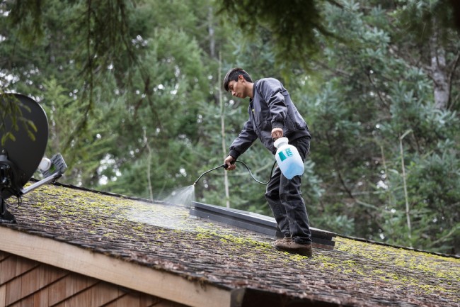 How Roof Cleaning Preserves Your Roof | Resurrected Professional Services